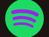 Spotcompiled
